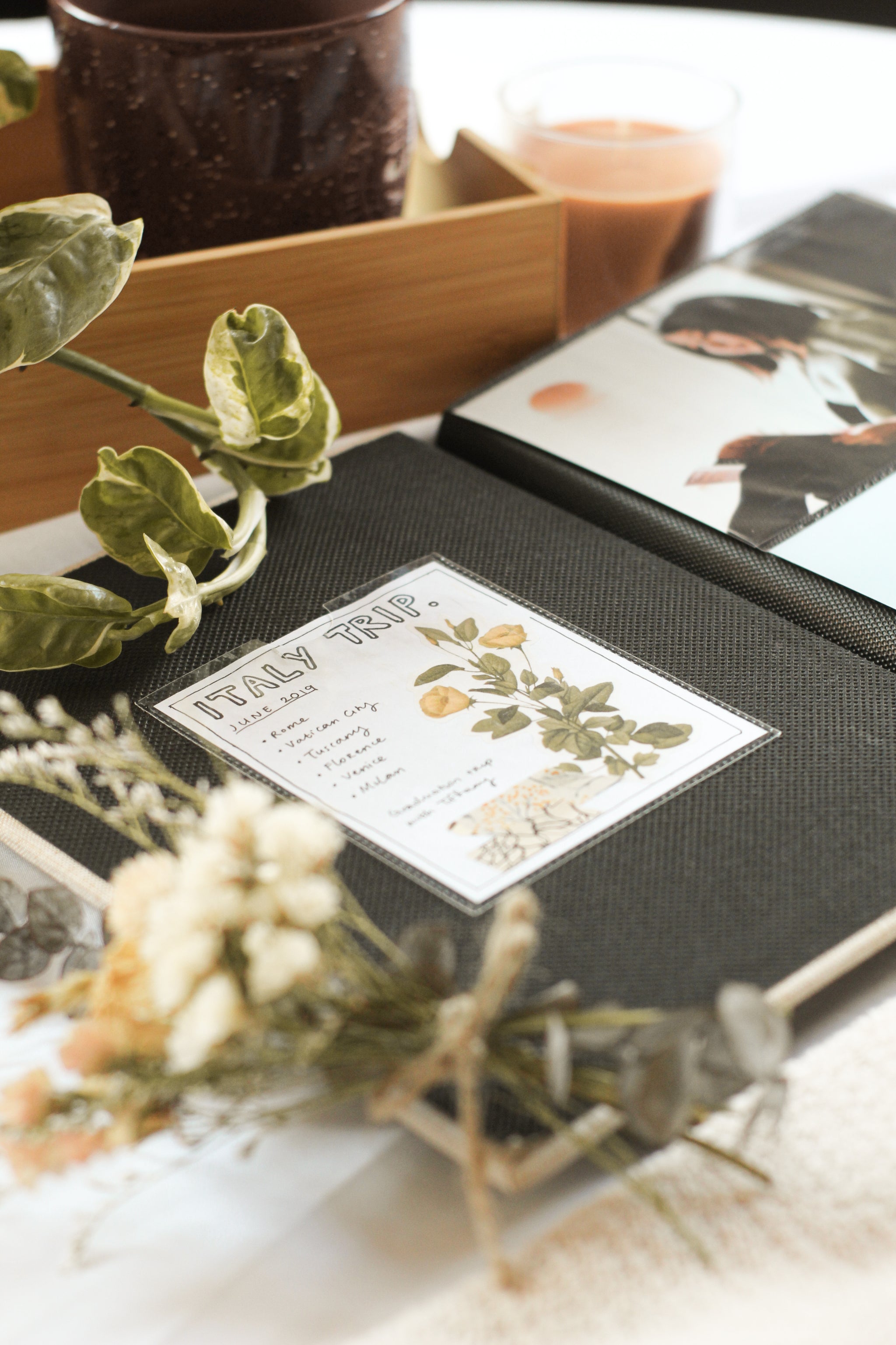 The Family - Chronicle set of 3 – Project Memory